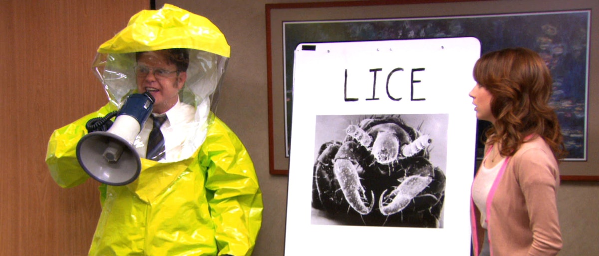 Hazmat Suit Rentals and Other Dwight Schrute Responses to Extraordinary ...