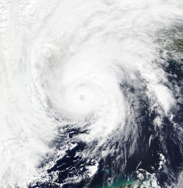 Tropical Storm Erin on Track to Become Hurricane with Impacts Likely in ...